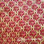 Interlocking Crochet Afghan – It's a T-Sweets day!